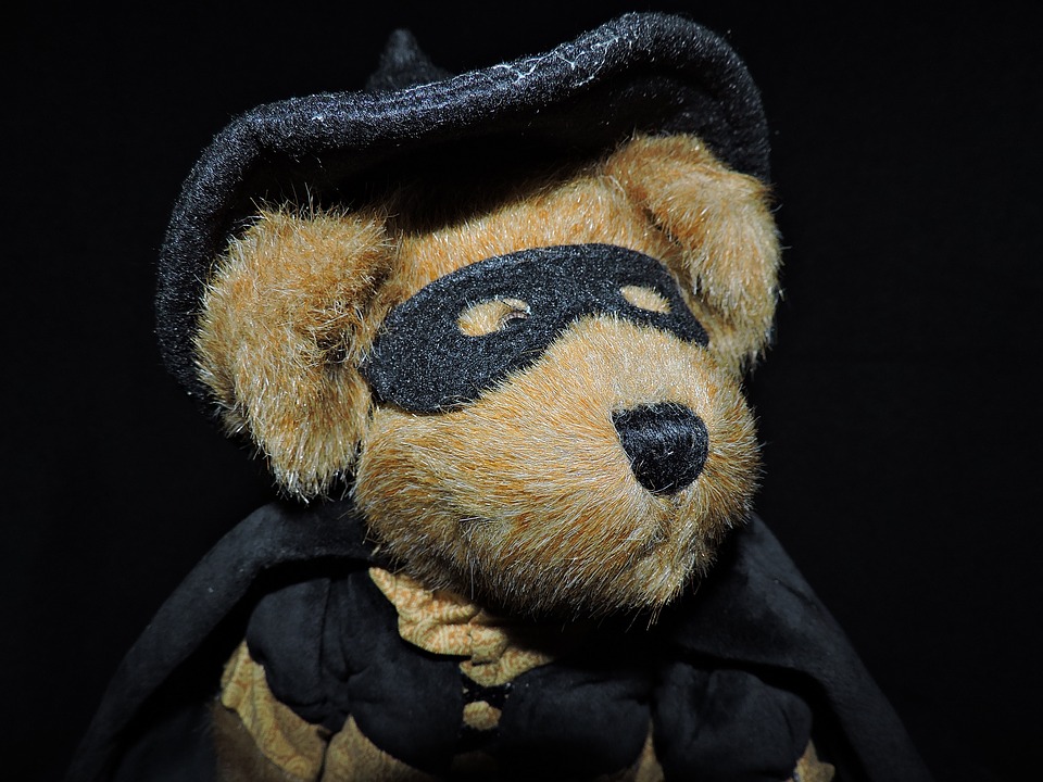 Friday Fiction Zorro Bear Pixabay – PHANTOM SWAY